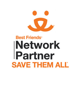 Home [www.dogrescuerus.com]